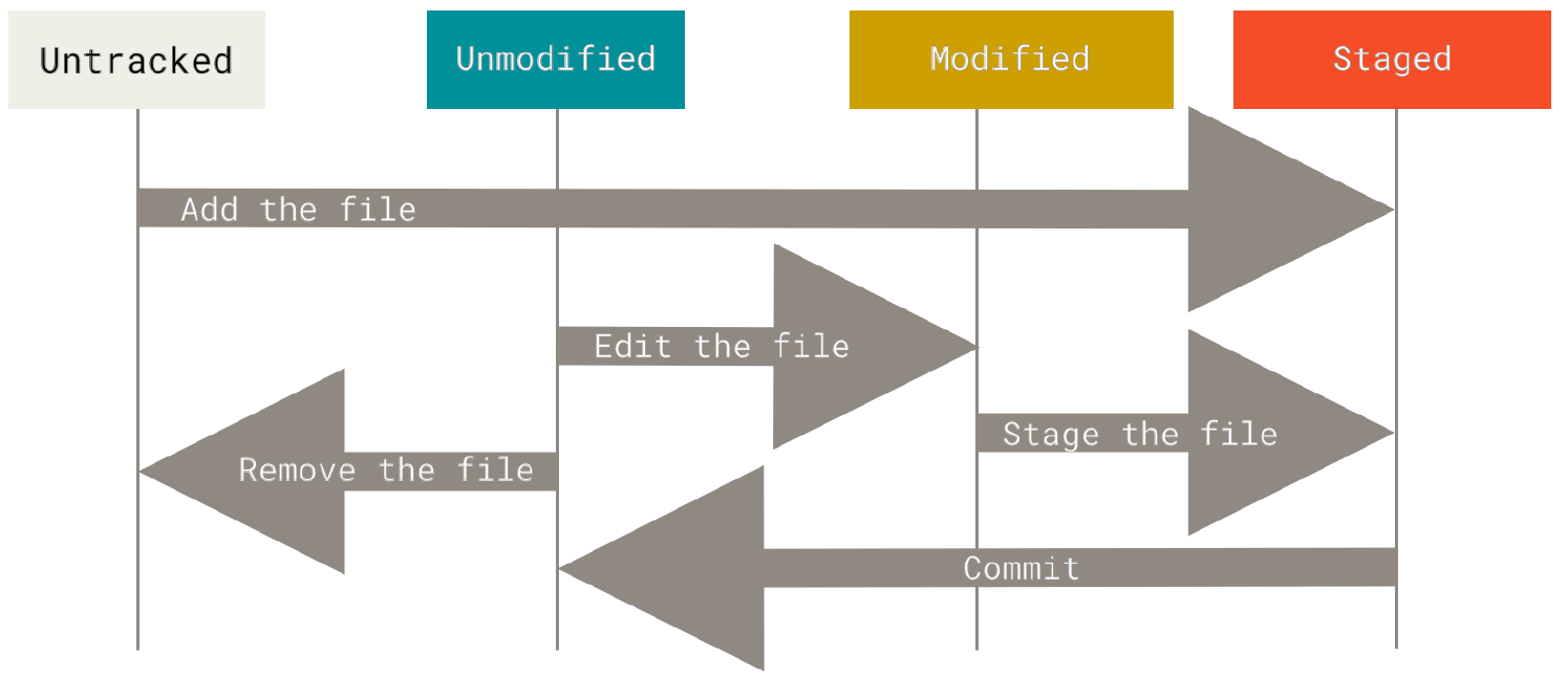 Lab Team Project And Github Account